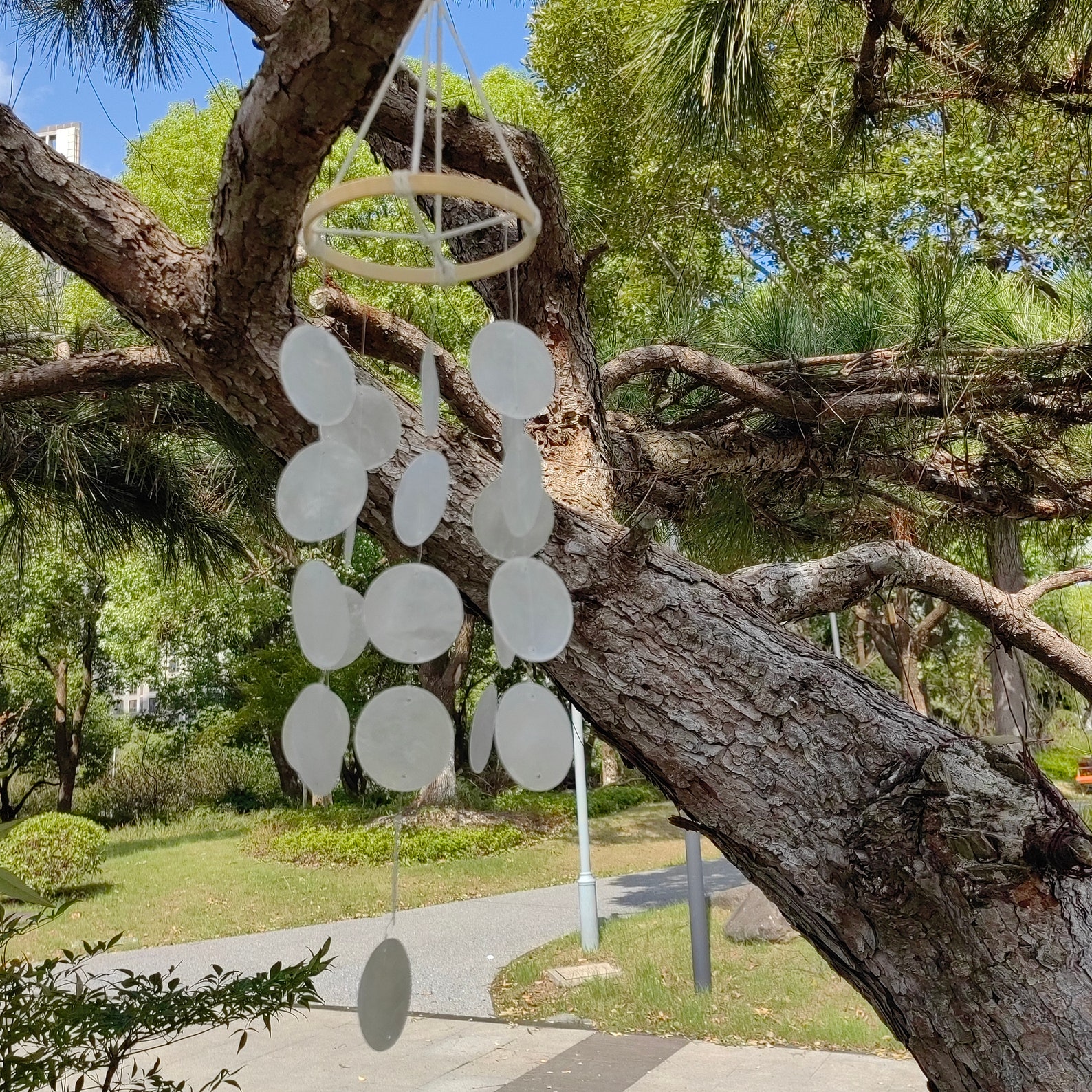 White Capiz Shell Wind Chimes, Hanging Decoration for Window, Capiz ...