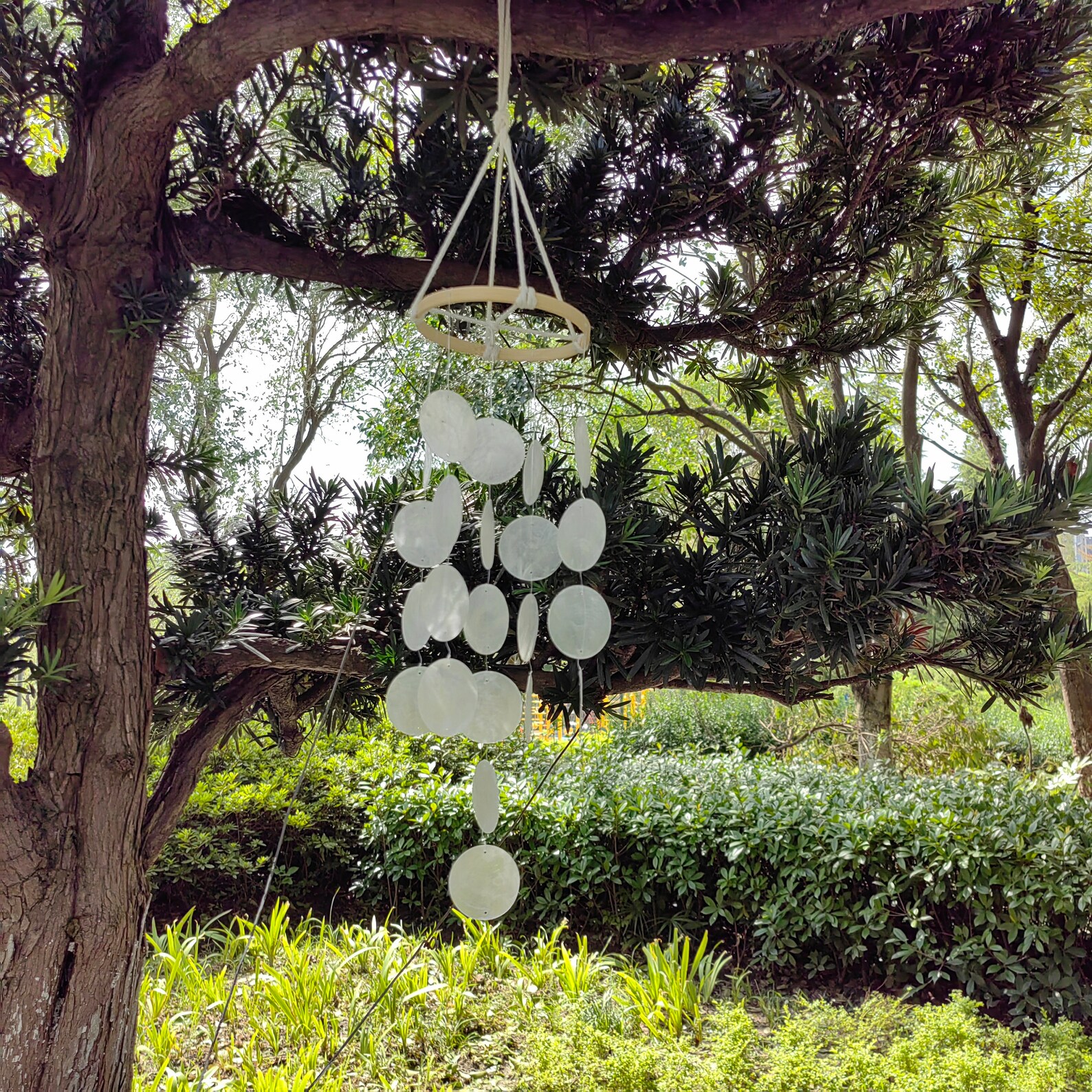 White Capiz Shell Wind Chimes, Hanging Decoration for Window, Capiz ...