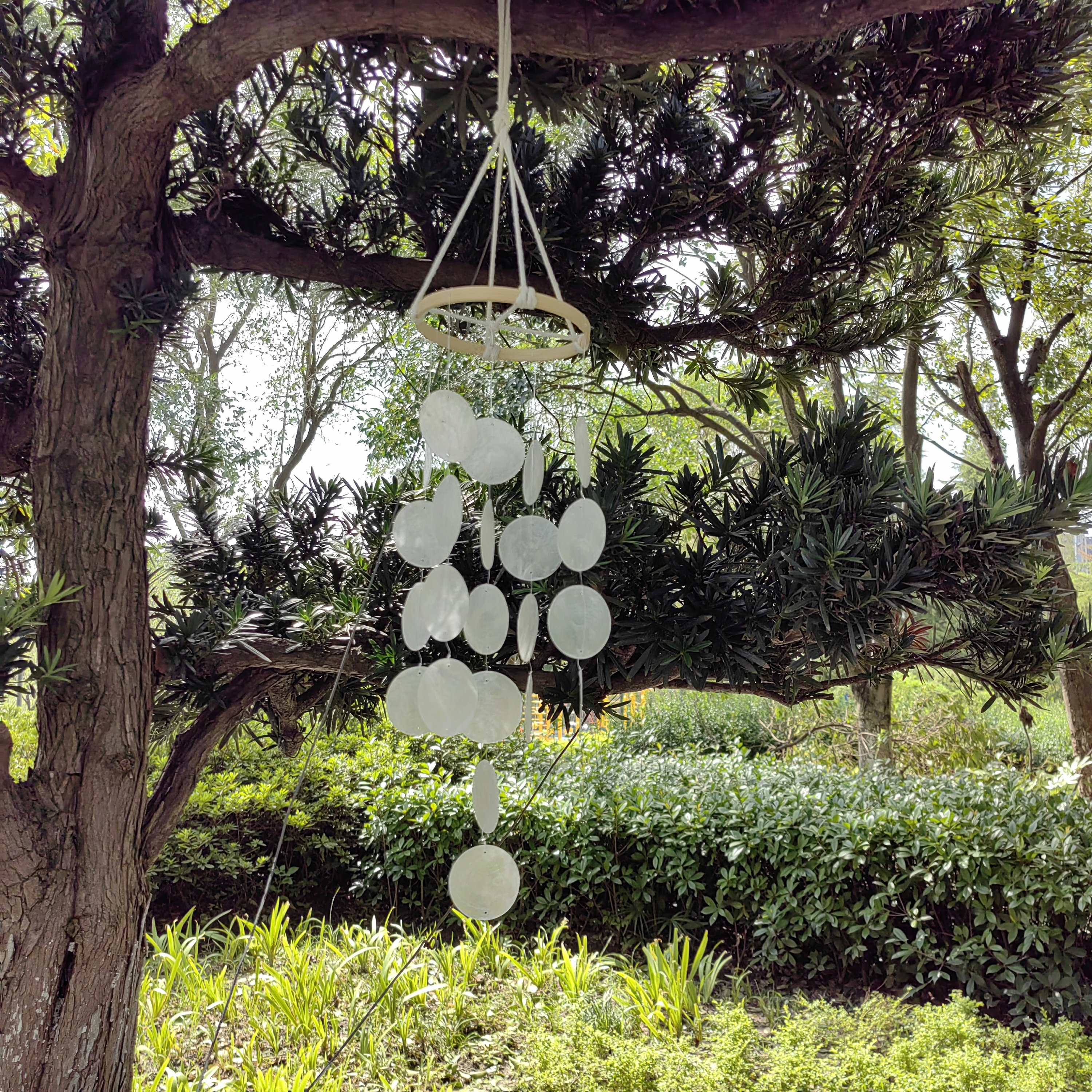 White Capiz Shell Wind Chimes, Hanging Decoration for Window, Capiz ...