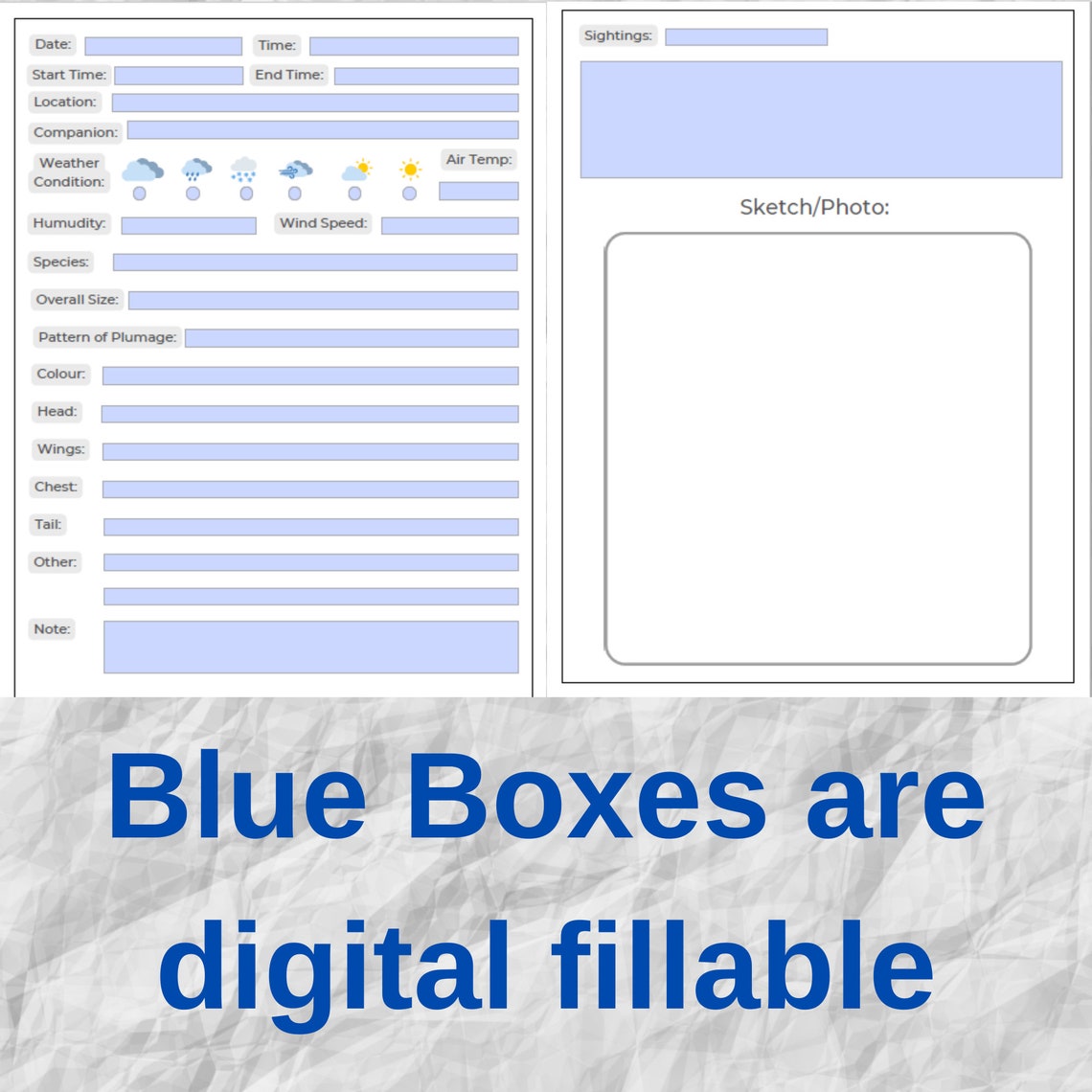 Instant Download ,digital Fillable and Printable Bird Watching Log ...
