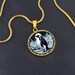 Imperial Penguin Medallion Arctic Night Pendant Majestic Antarctic ...