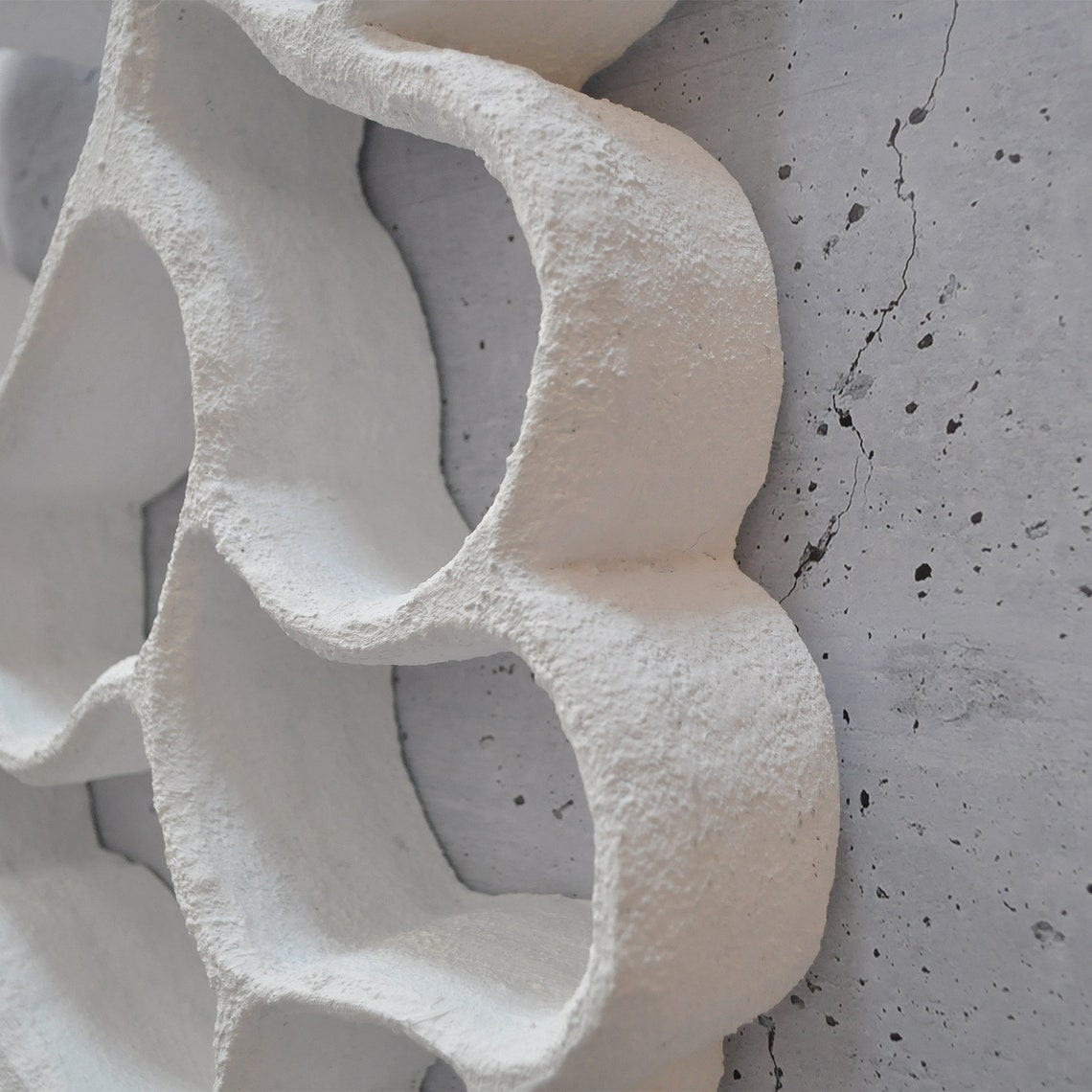 Handmade Curio Shelf ,oddities Shelf,curiousity Shelf,curio Shelf, Wall ...