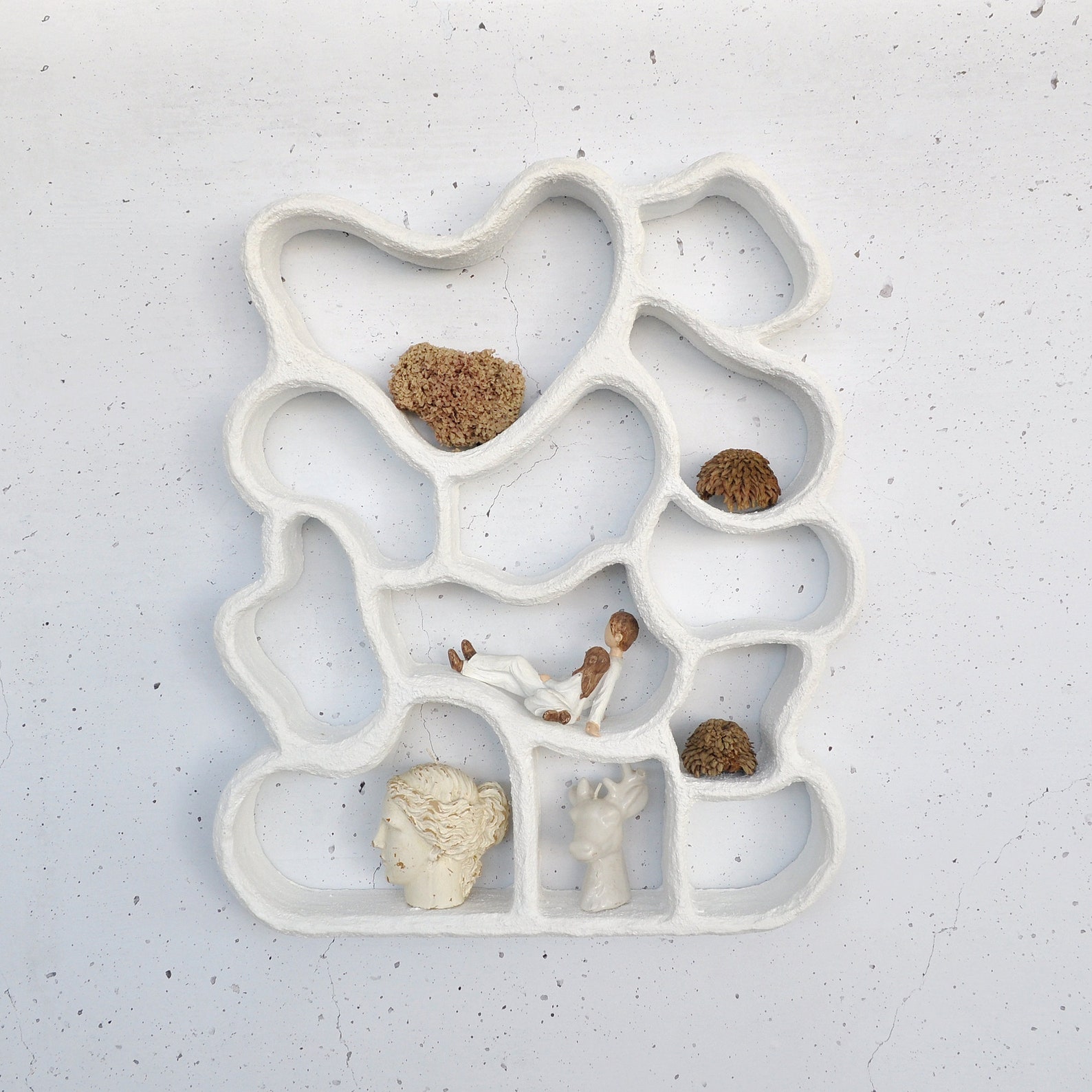 Handmade Curio Shelf ,oddities Shelf,curiousity Shelf,curio Shelf, Wall ...