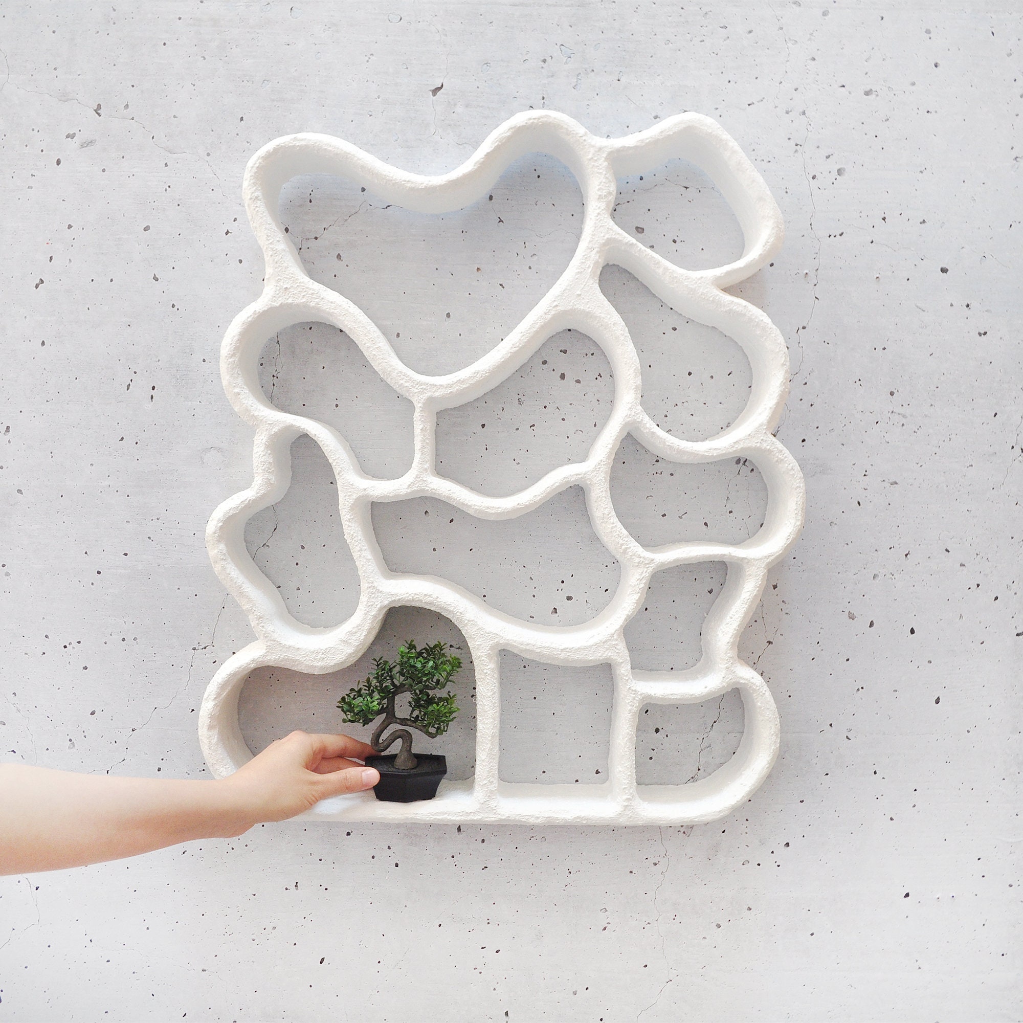 Handmade Curio Shelf ,oddities Shelf,curiousity Shelf,curio Shelf, Wall ...