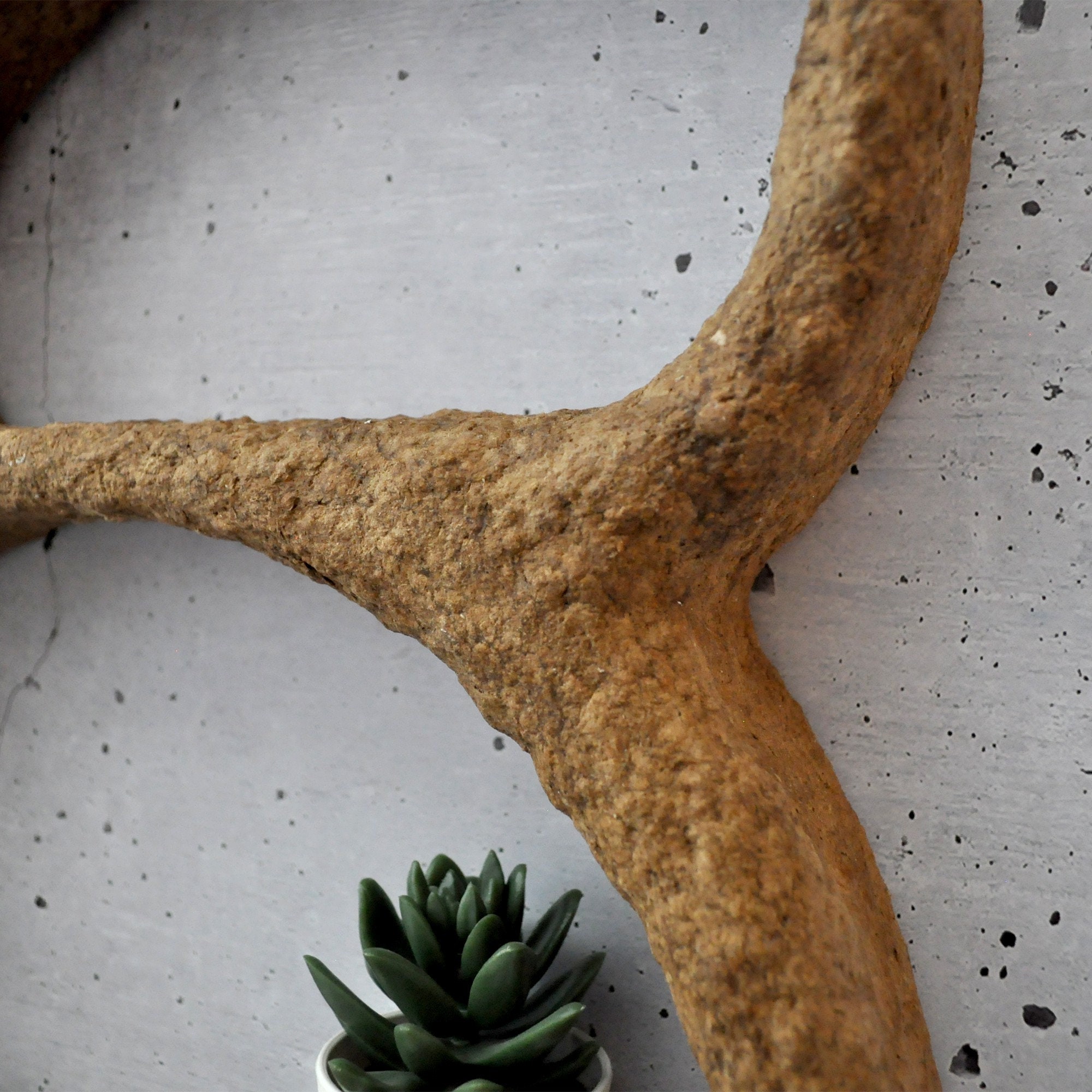 Handmade Curio Shelf Made of Paper Pulp,oddities Shelf,curiousity Shelf ...