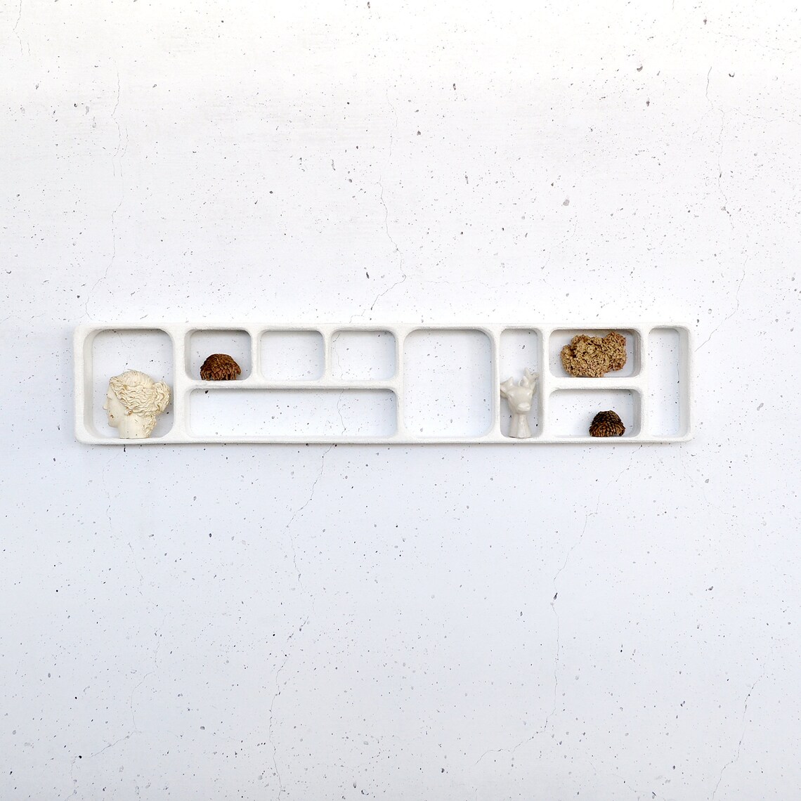 Handmade Curio Shelf ,oddities Shelf,curiousity Shelf,curio Shelf, Wall ...