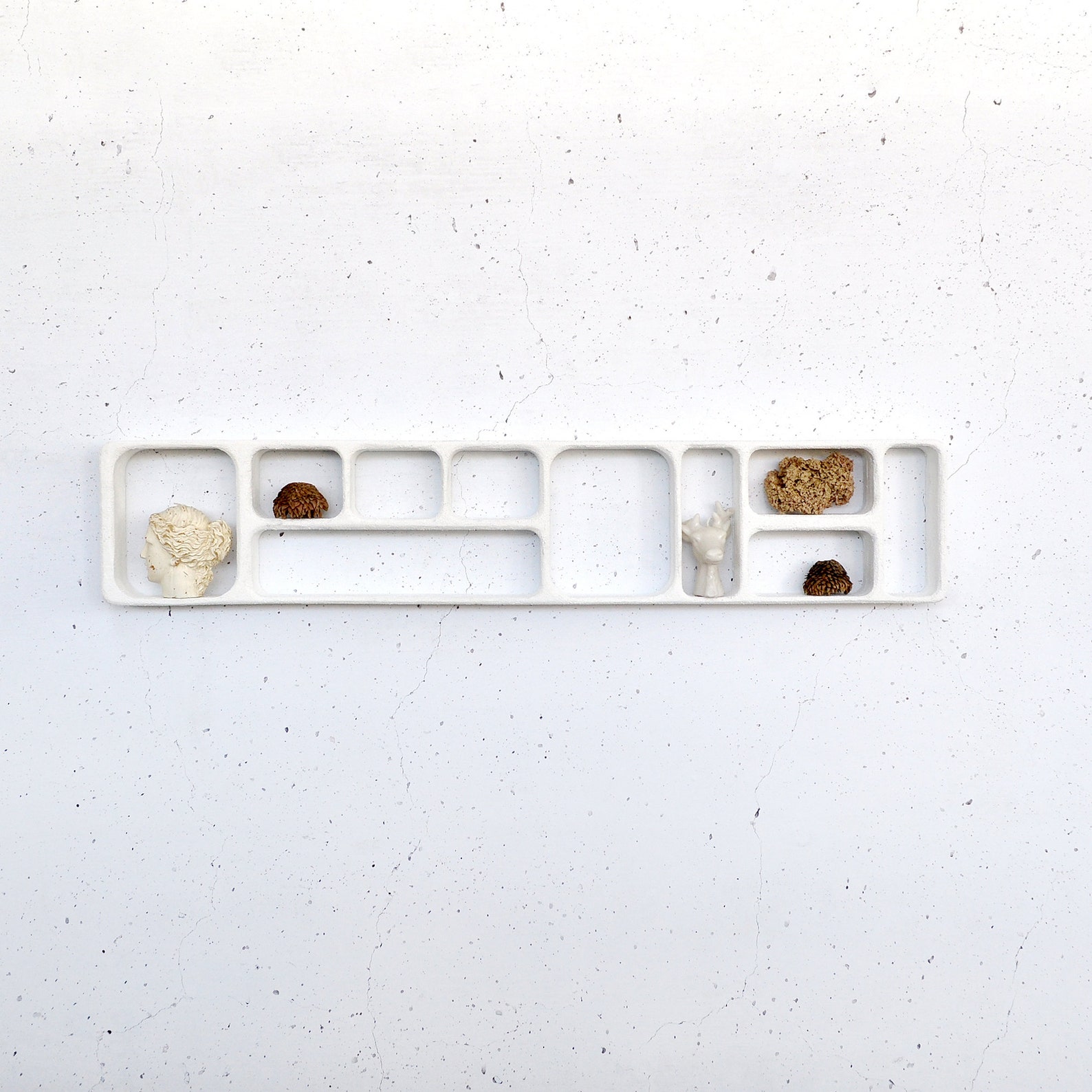 Handmade Curio Shelf ,oddities Shelf,curiousity Shelf,curio Shelf, Wall ...
