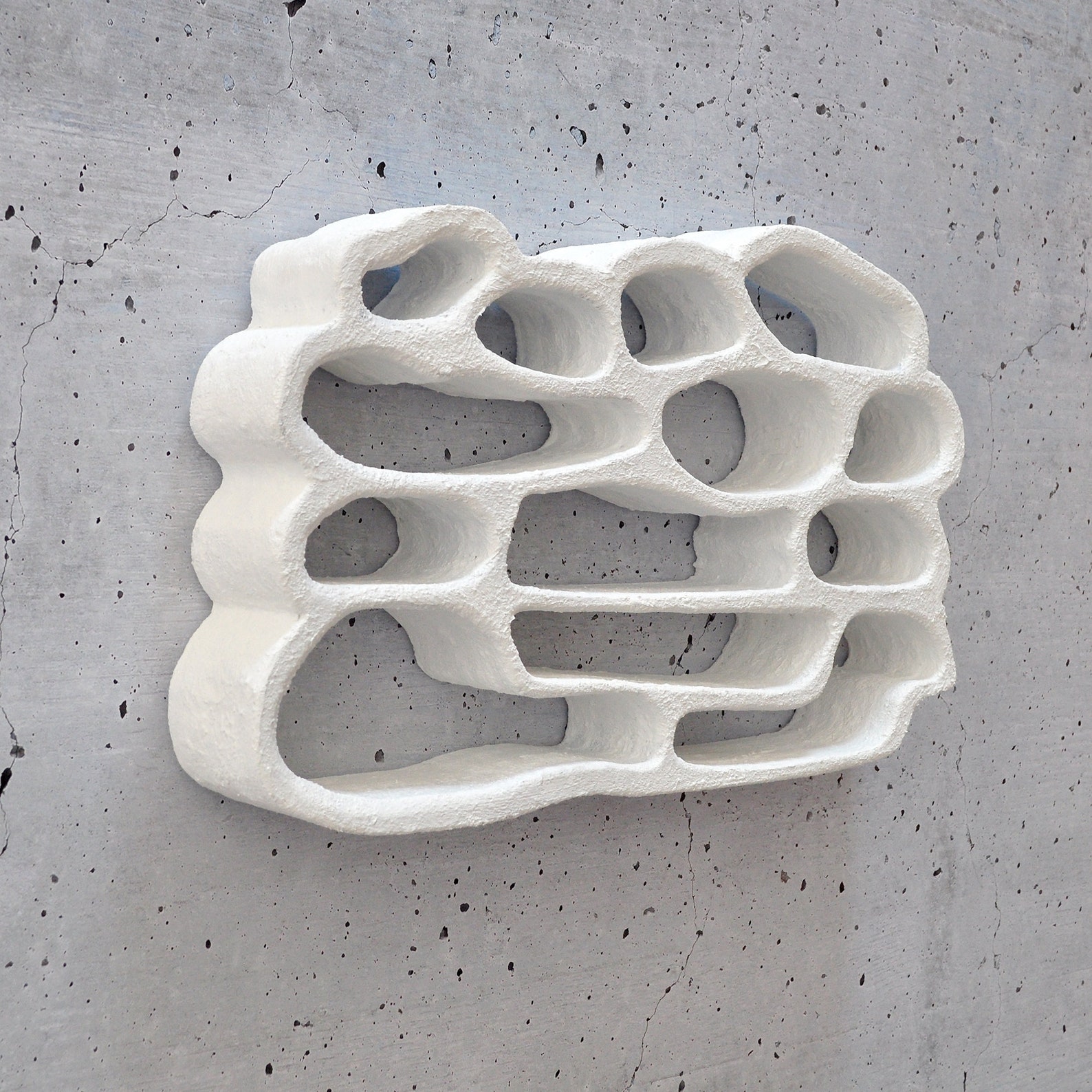 Handmade Curio Shelf ,oddities Shelf,curiousity Shelf,curio Shelf, Wall ...