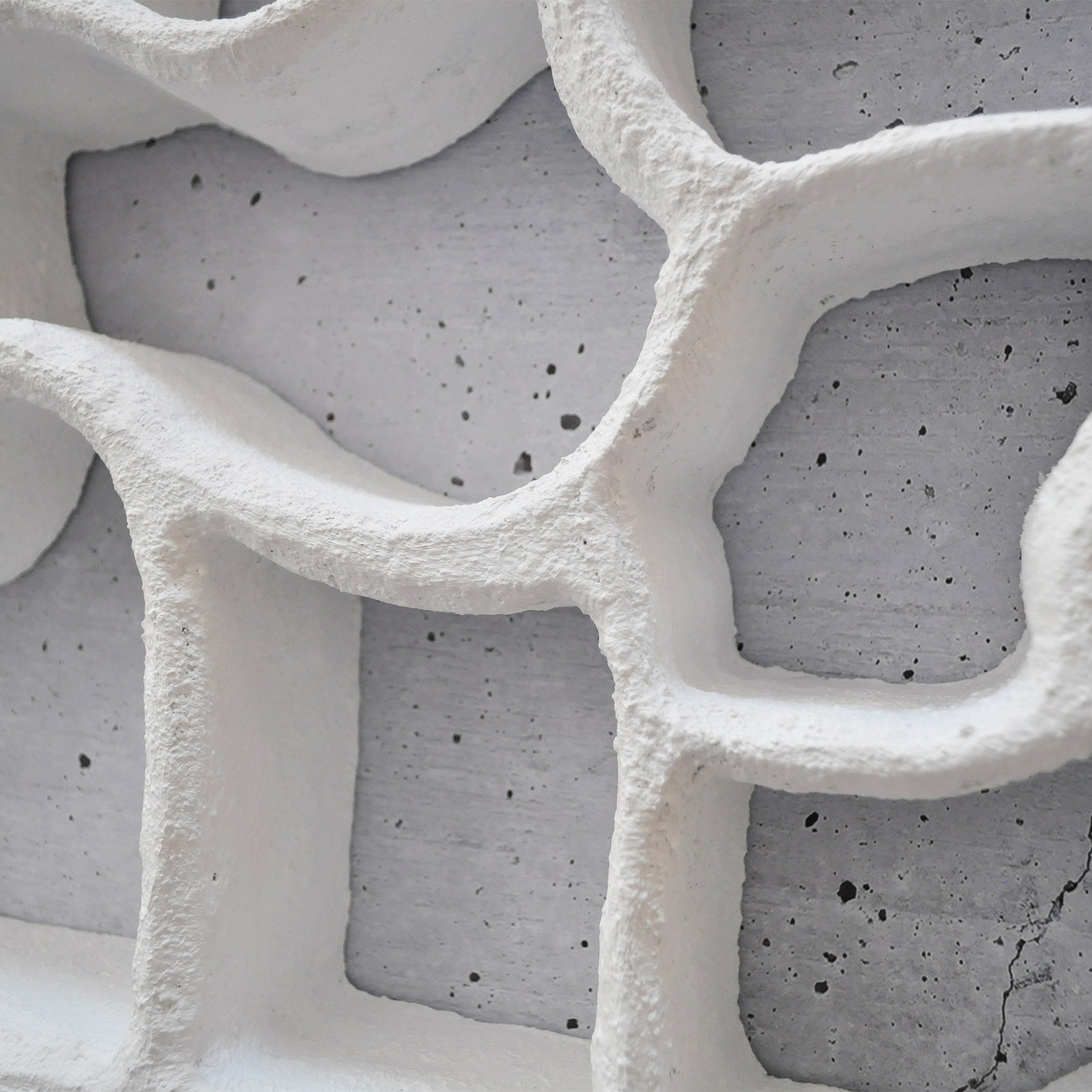 Handmade Curio Shelf ,oddities Shelf,curiousity Shelf,curio Shelf, Wall ...