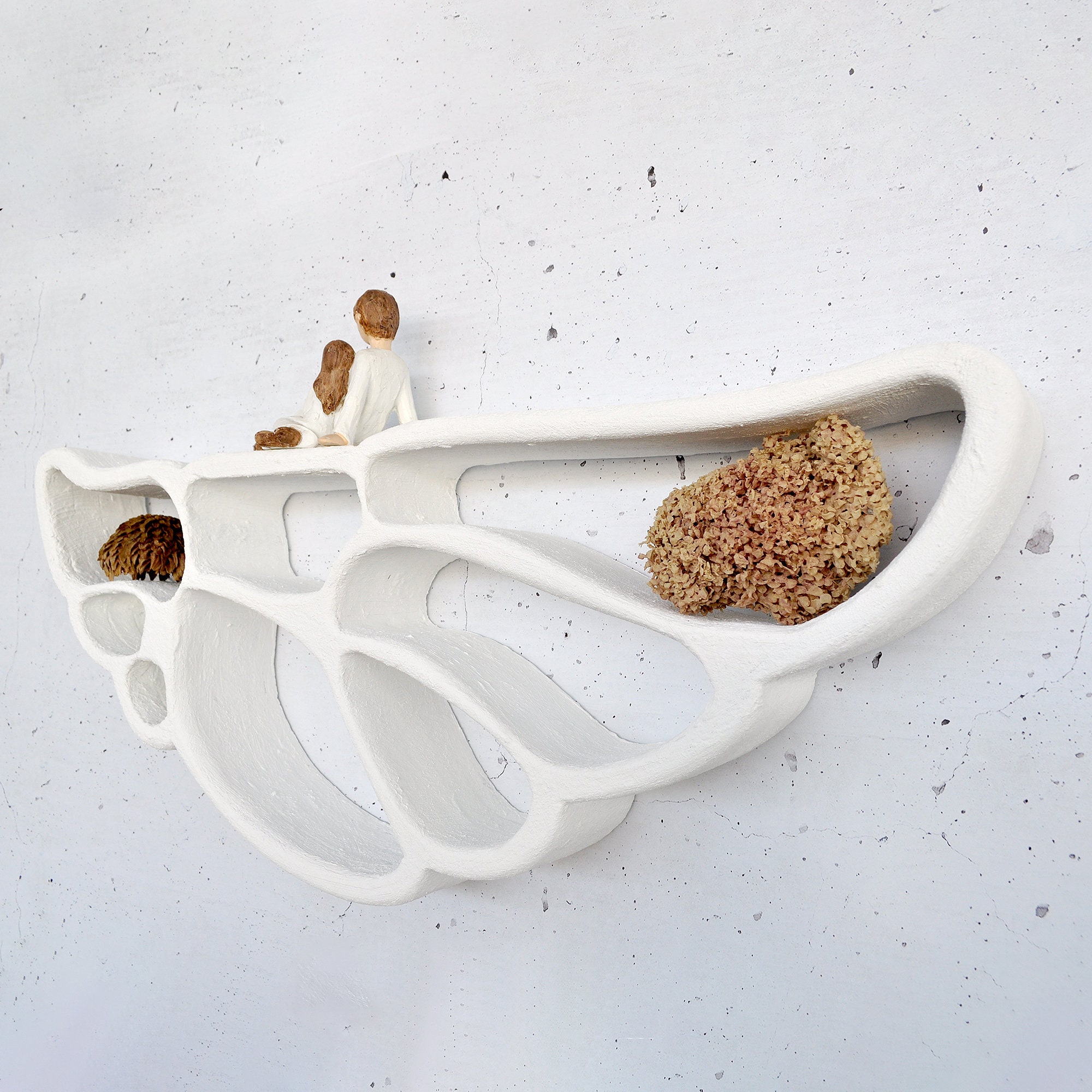 Handmade Curio Shelf ,oddities Shelf,curiousity Shelf,curio Shelf, Wall ...