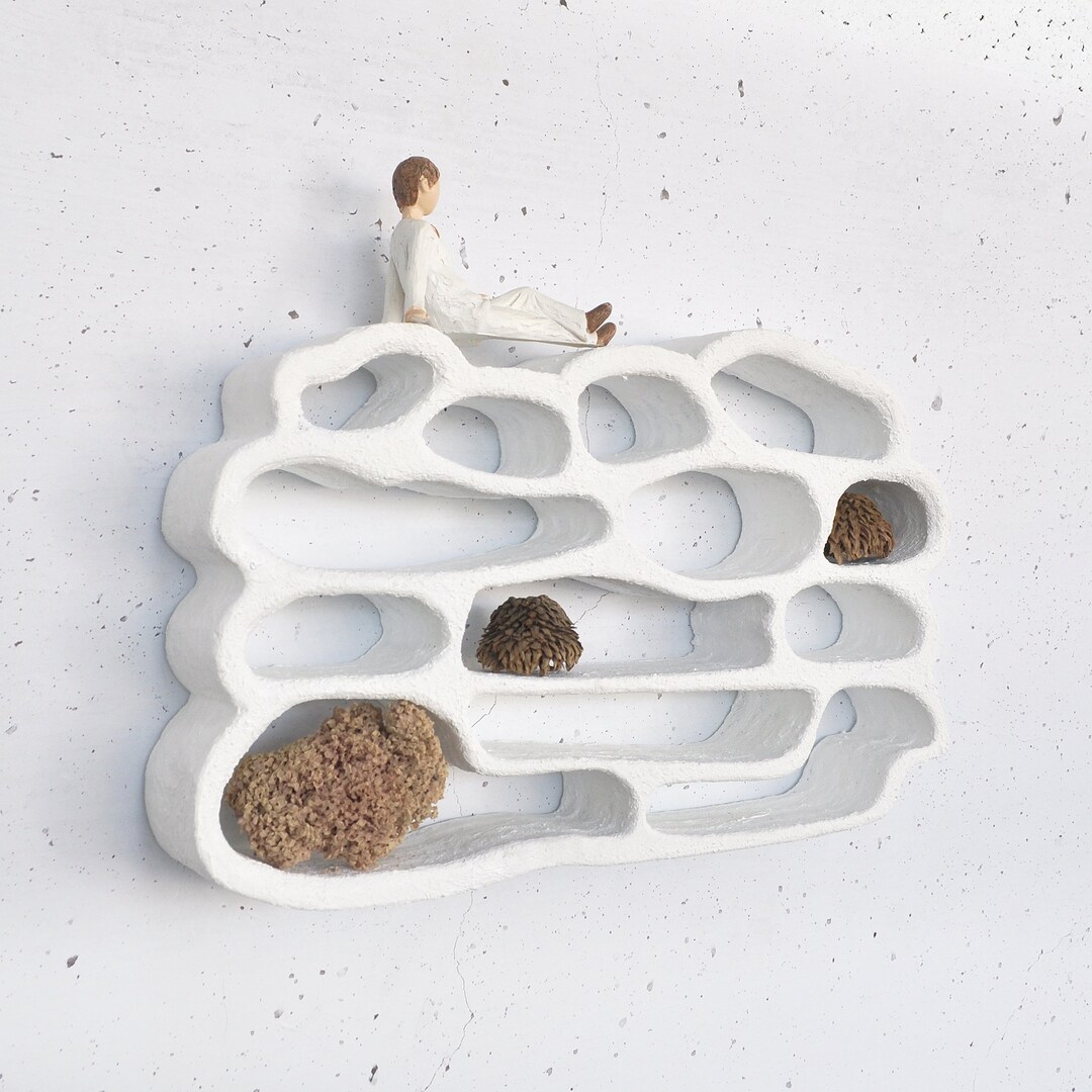 Handmade Curio Shelf ,oddities Shelf,curiousity Shelf,curio Shelf, Wall ...