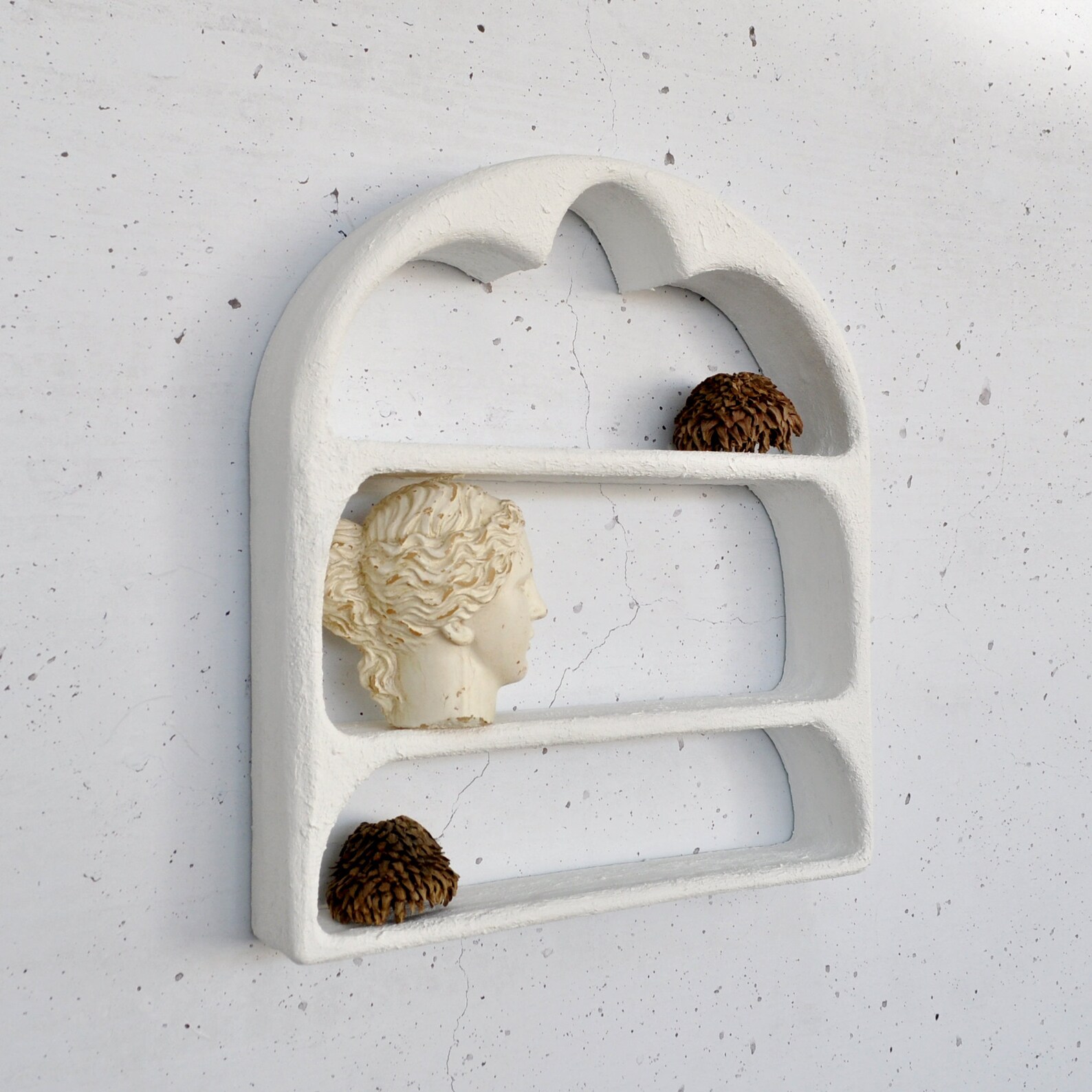 Handmade Curio Shelf ,oddities Shelf,curiousity Shelf,curio Shelf, Wall ...