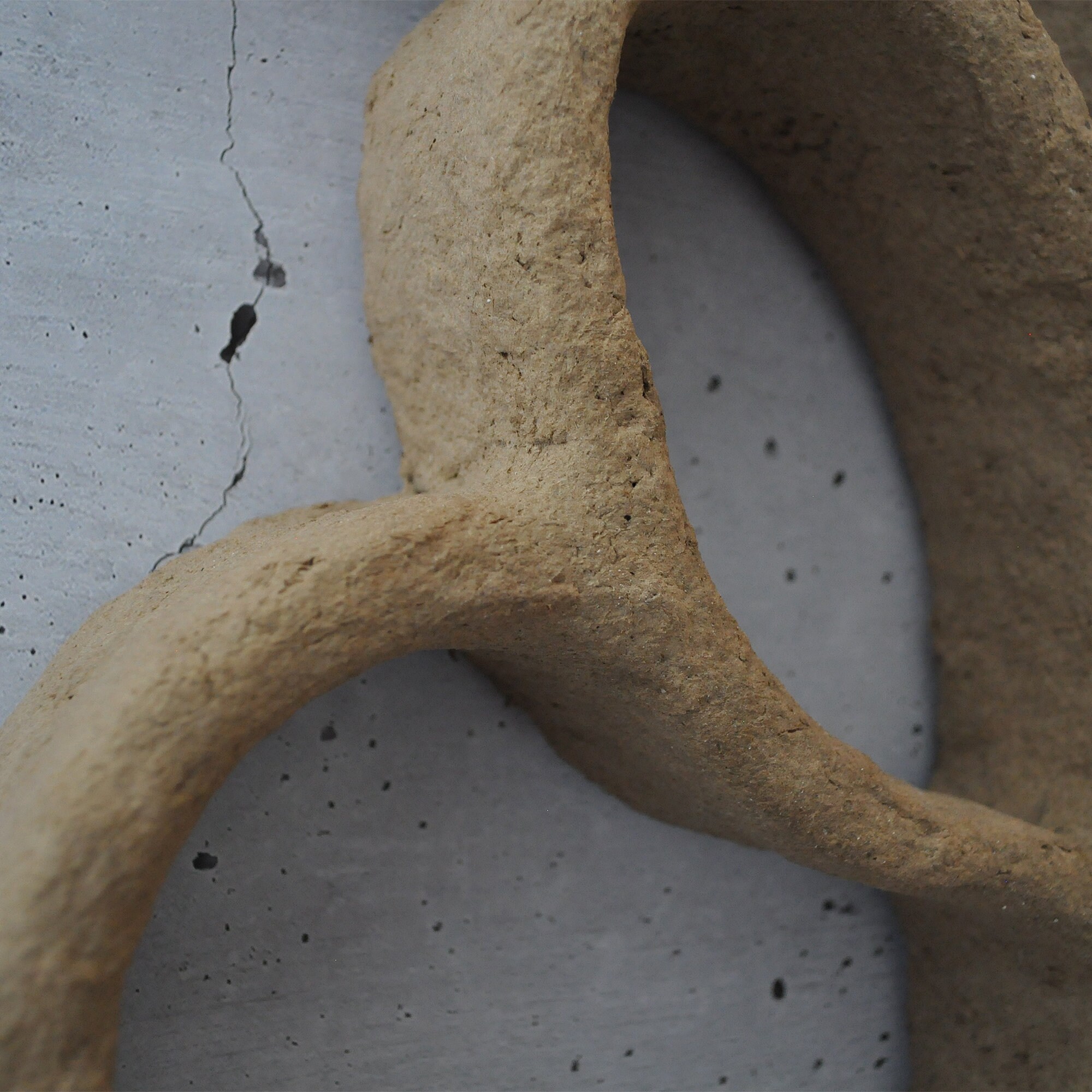 Handmade Curio Shelf Made of Paper Pulp,oddities Shelf,curiousity Shelf ...