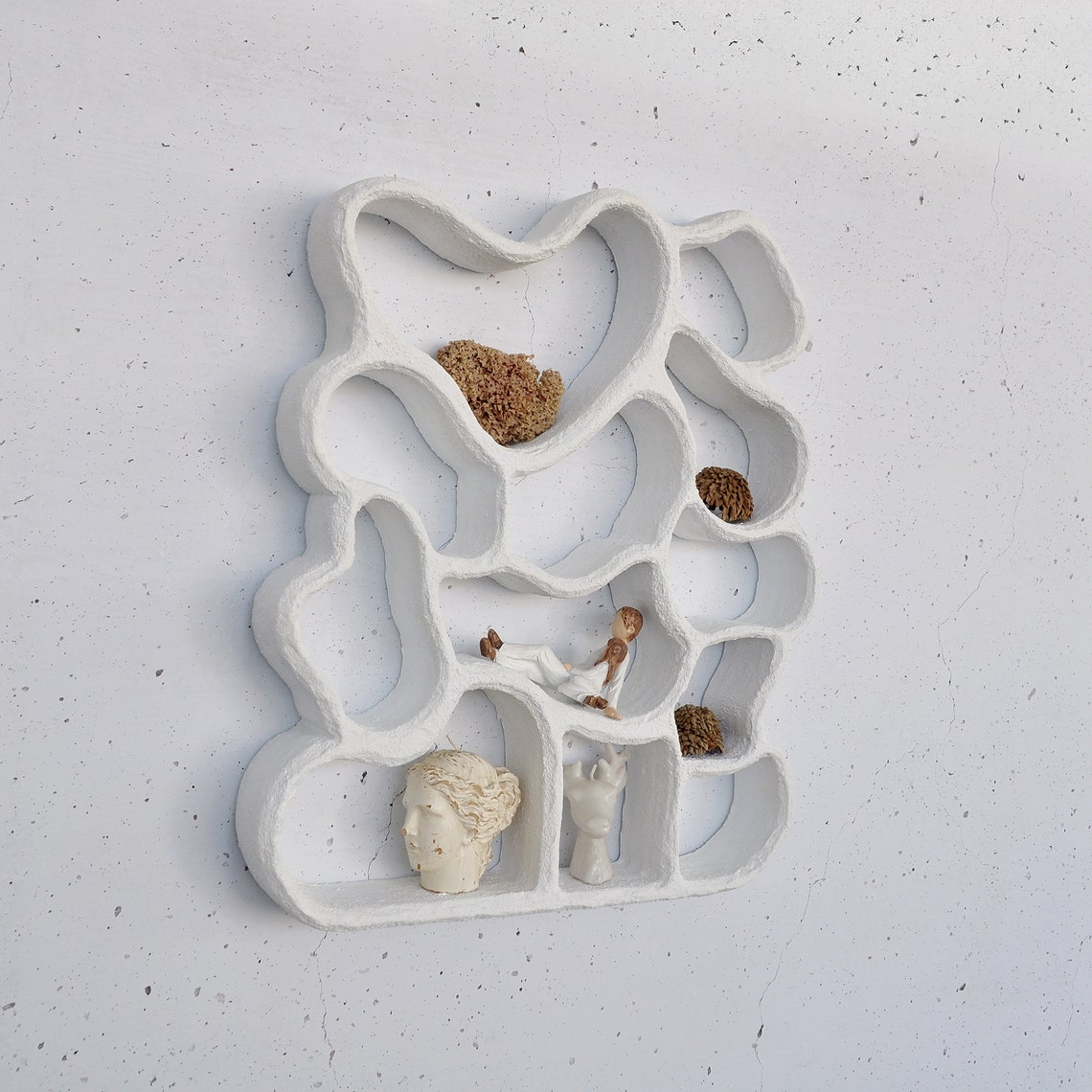 Handmade Curio Shelf ,oddities Shelf,curiousity Shelf,curio Shelf, Wall ...