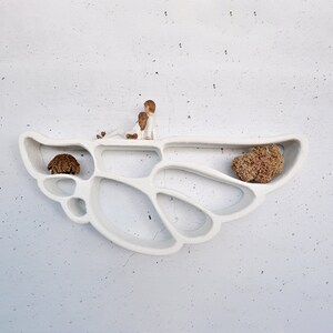 Handmade Curio Shelf ,oddities Shelf,curiousity Shelf,curio Shelf, Wall ...