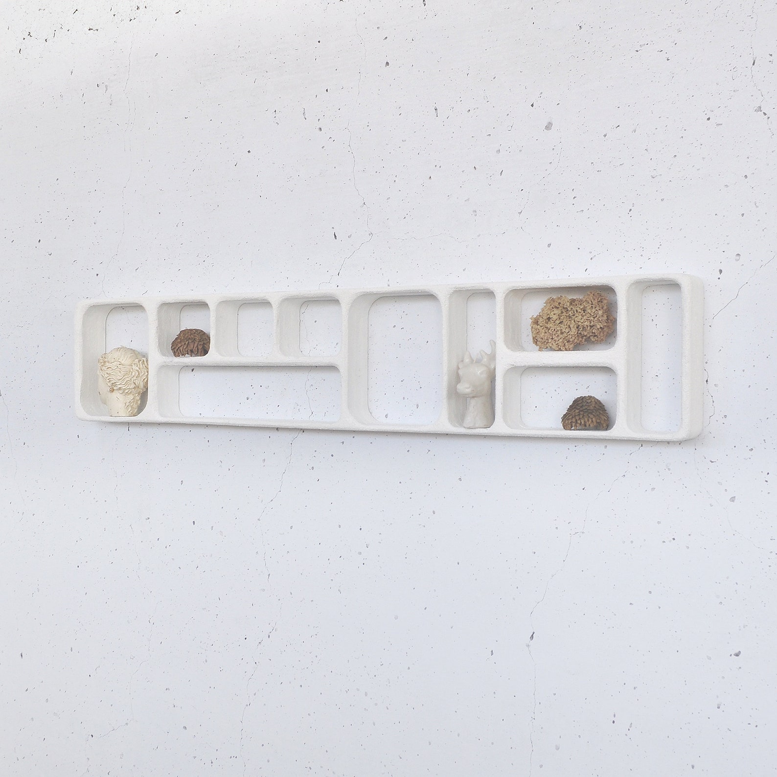 Handmade Curio Shelf ,oddities Shelf,curiousity Shelf,curio Shelf, Wall ...