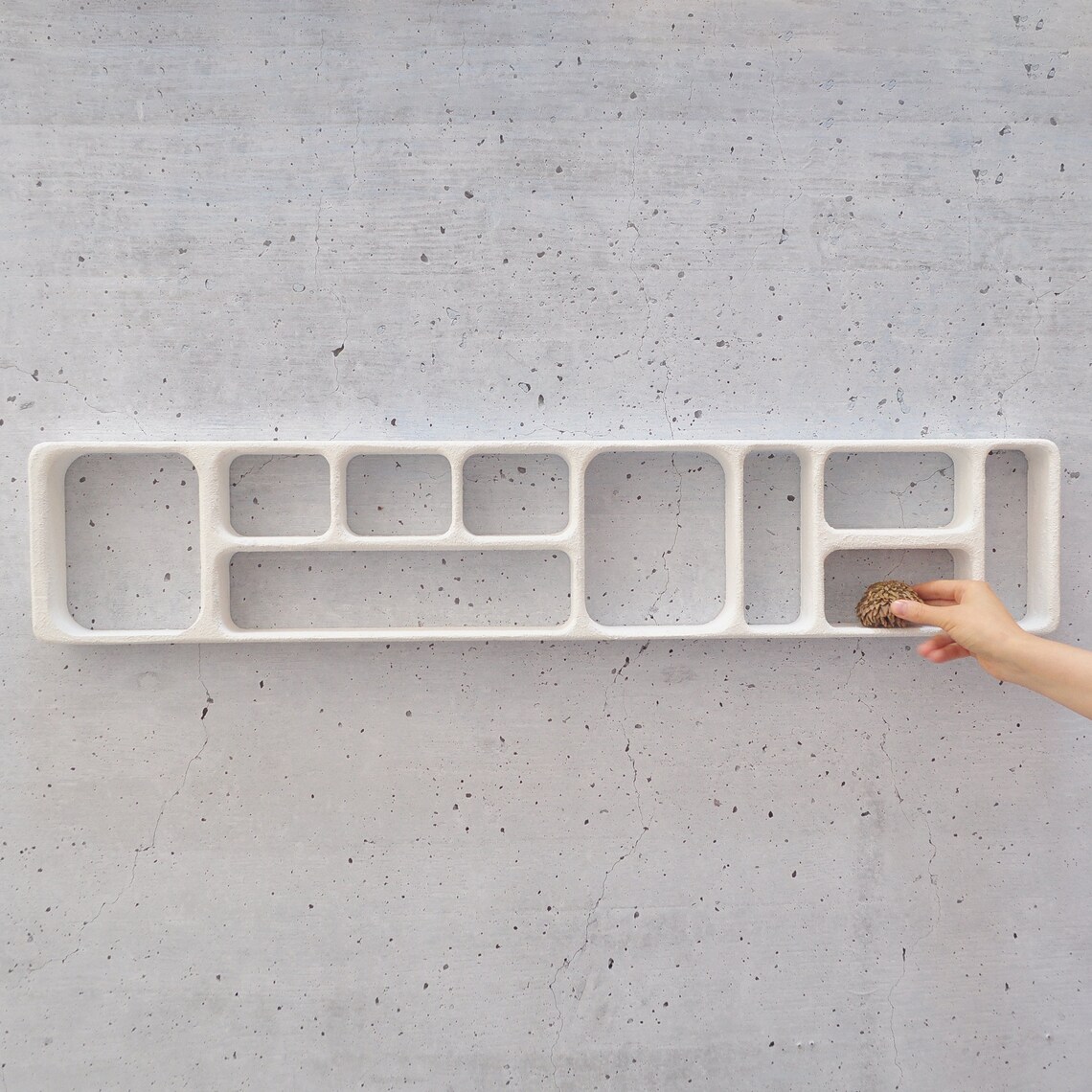 Handmade Curio Shelf ,oddities Shelf,curiousity Shelf,curio Shelf, Wall ...