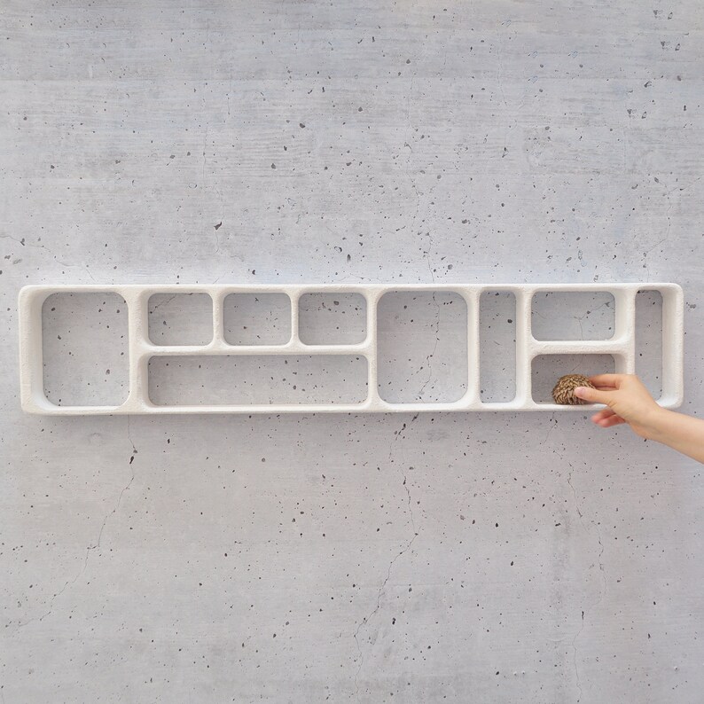 Handmade Curio Shelf ,oddities Shelf,curiousity Shelf,curio Shelf, Wall ...