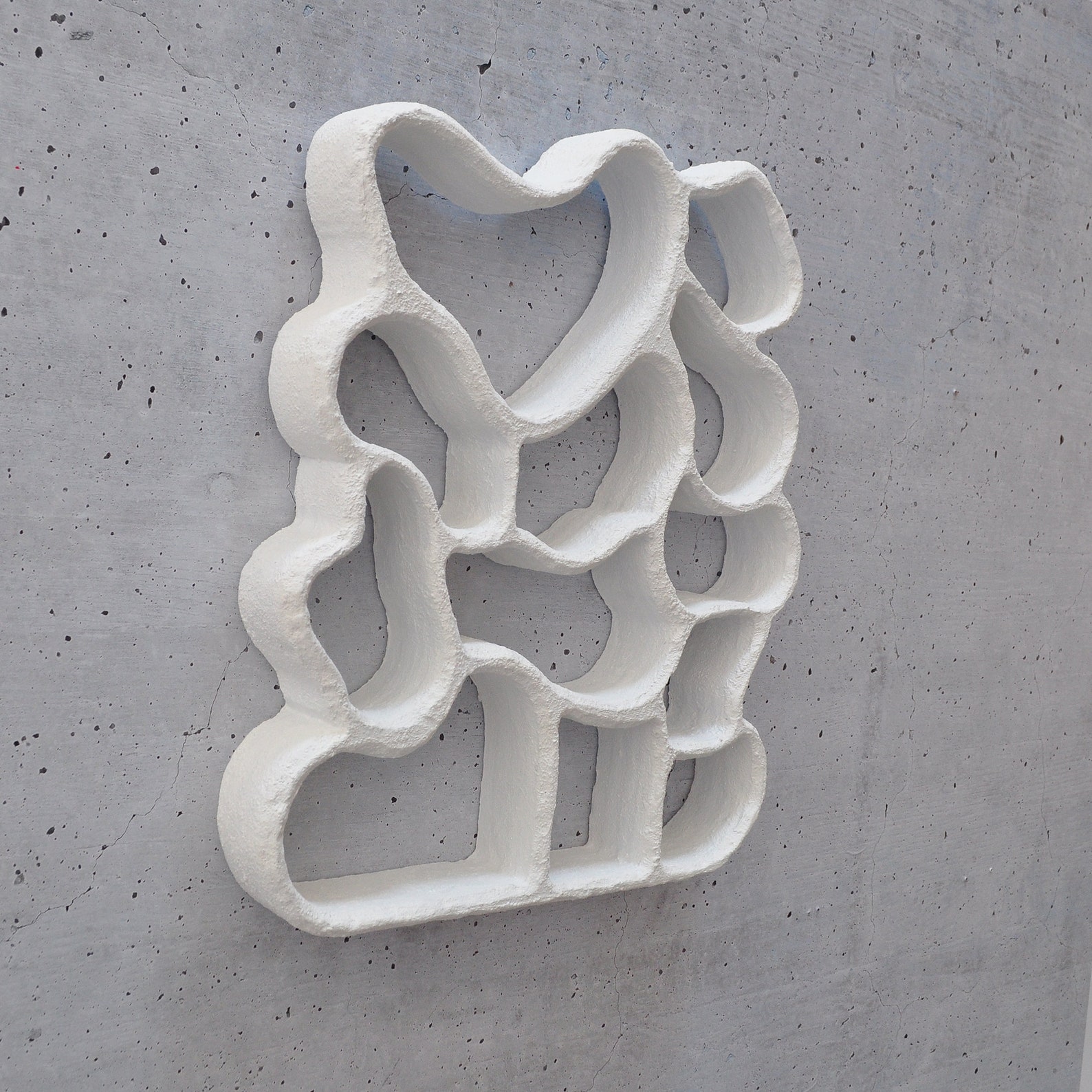 Handmade Curio Shelf ,oddities Shelf,curiousity Shelf,curio Shelf, Wall ...