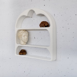 Handmade Curio Shelf ,oddities Shelf,curiousity Shelf,curio Shelf, Wall ...