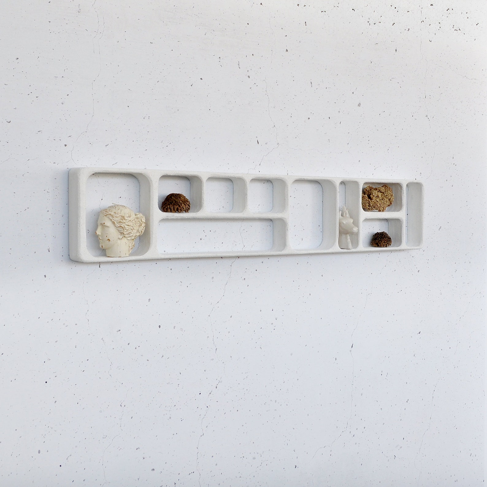 Handmade Curio Shelf ,oddities Shelf,curiousity Shelf,curio Shelf, Wall ...