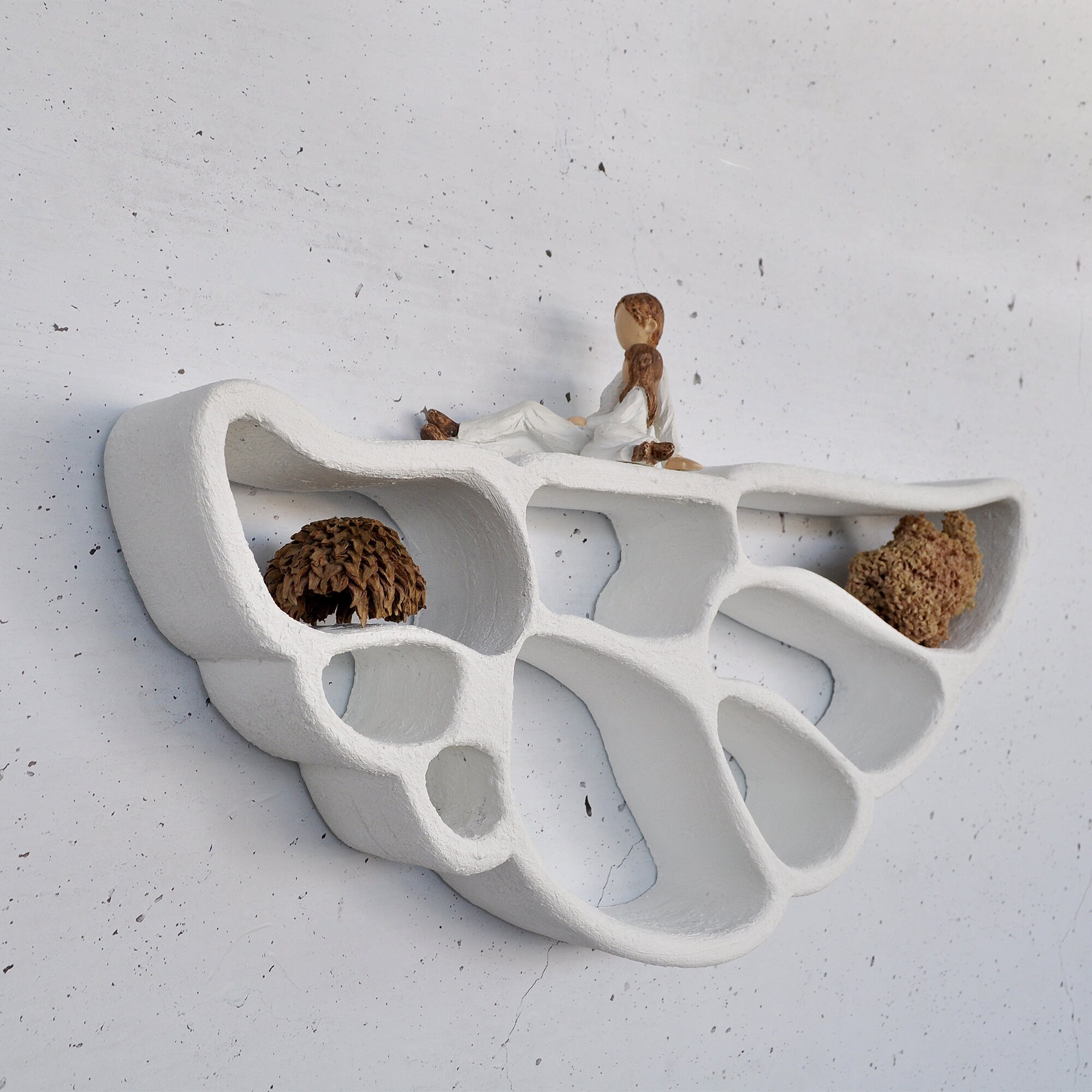 Handmade Curio Shelf ,oddities Shelf,curiousity Shelf,curio Shelf, Wall ...