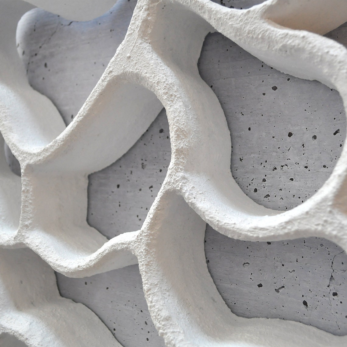 Handmade Curio Shelf ,oddities Shelf,curiousity Shelf,curio Shelf, Wall ...