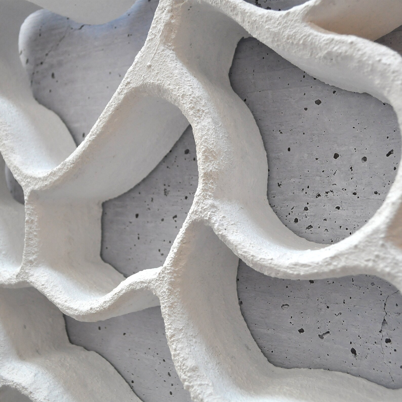 Handmade Curio Shelf ,oddities Shelf,curiousity Shelf,curio Shelf, Wall ...