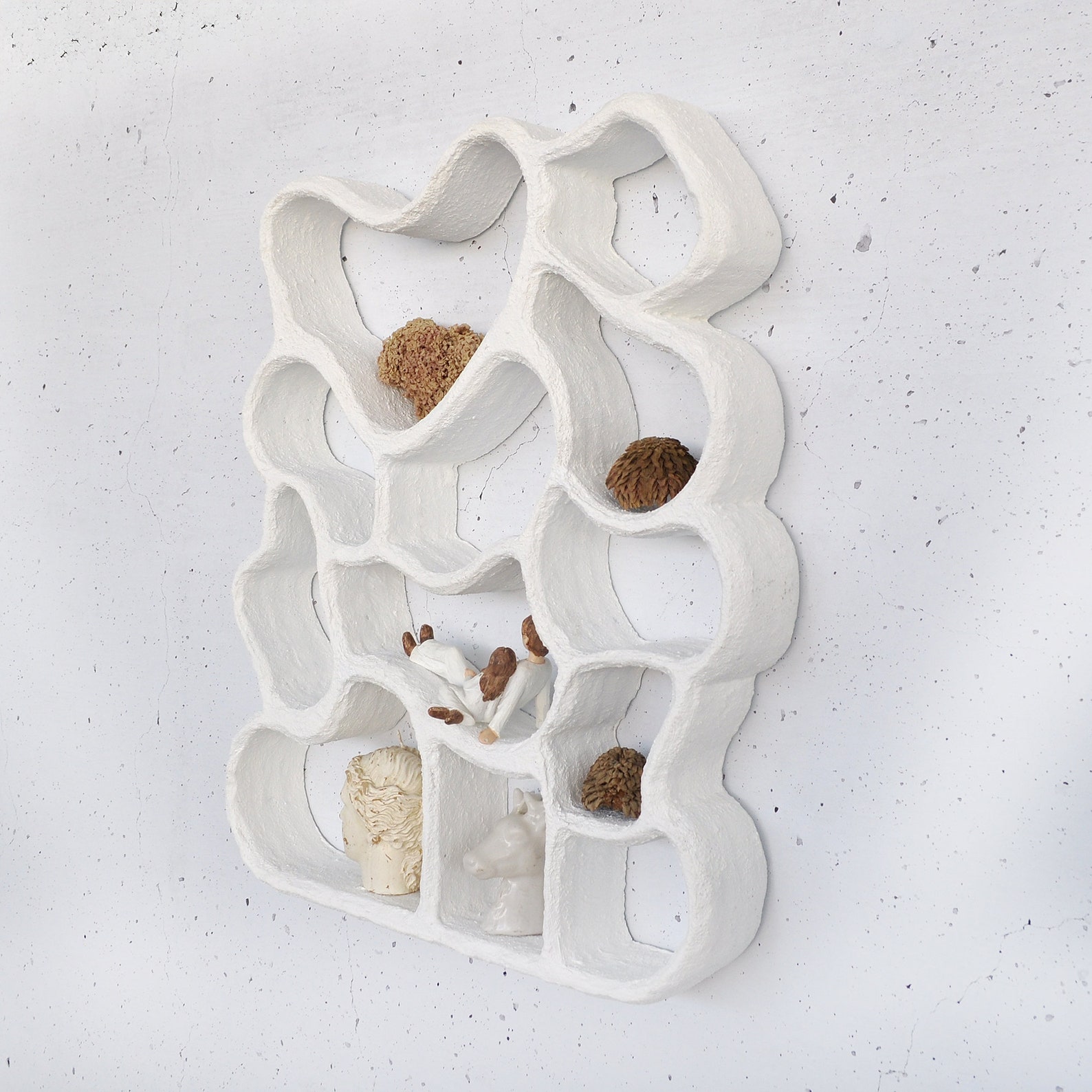 Handmade Curio Shelf ,oddities Shelf,curiousity Shelf,curio Shelf, Wall ...