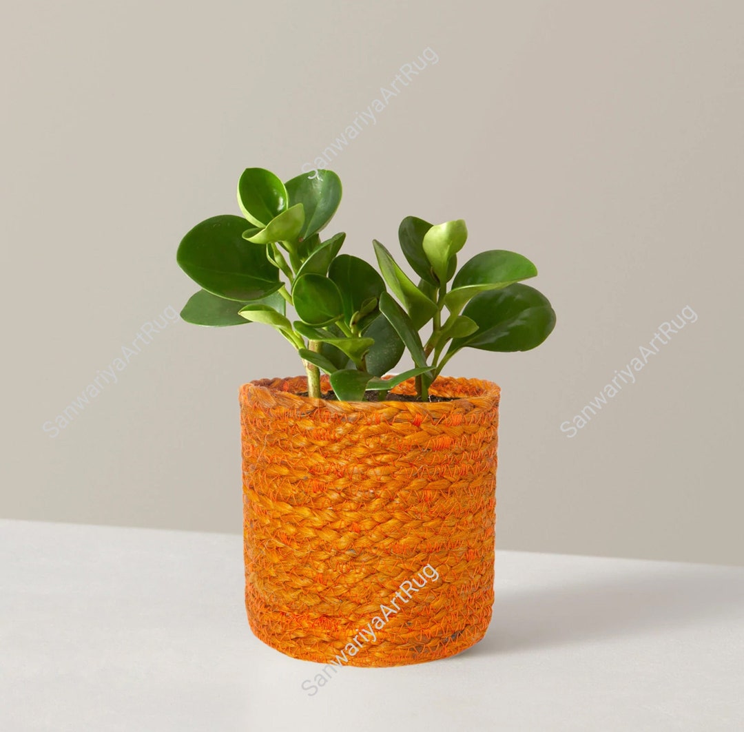 Jute Flower Pot | Colorful Planter Pot | Personalized Gardening Gift ...