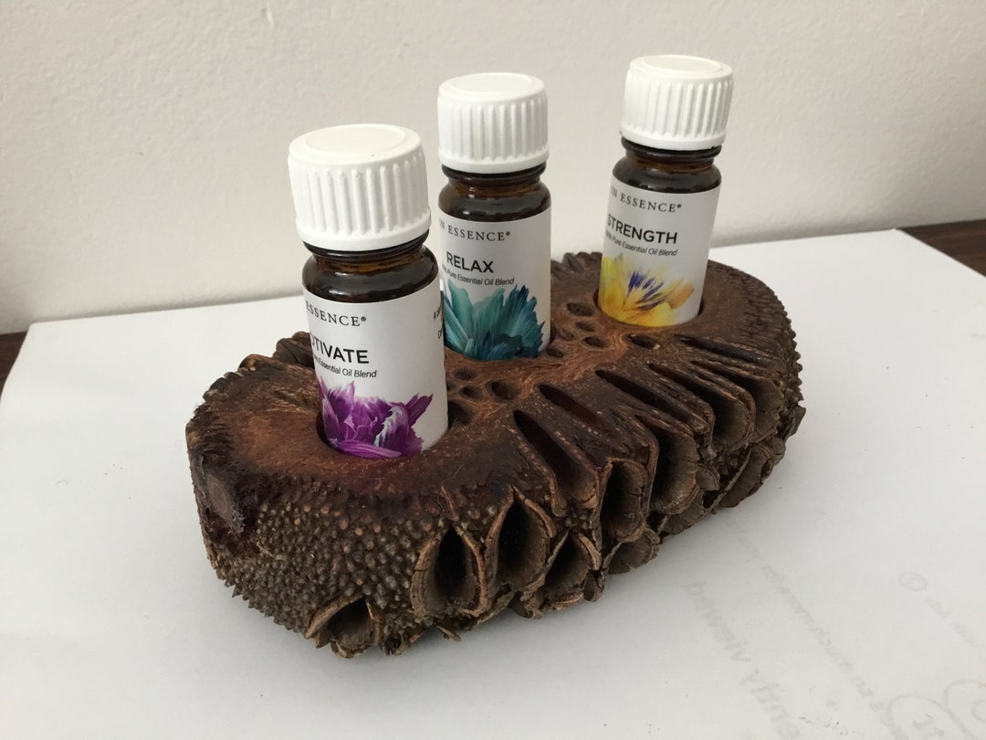Organic Essential Oil Bottle Stand..natural Handcrafted Banksia Pod ...