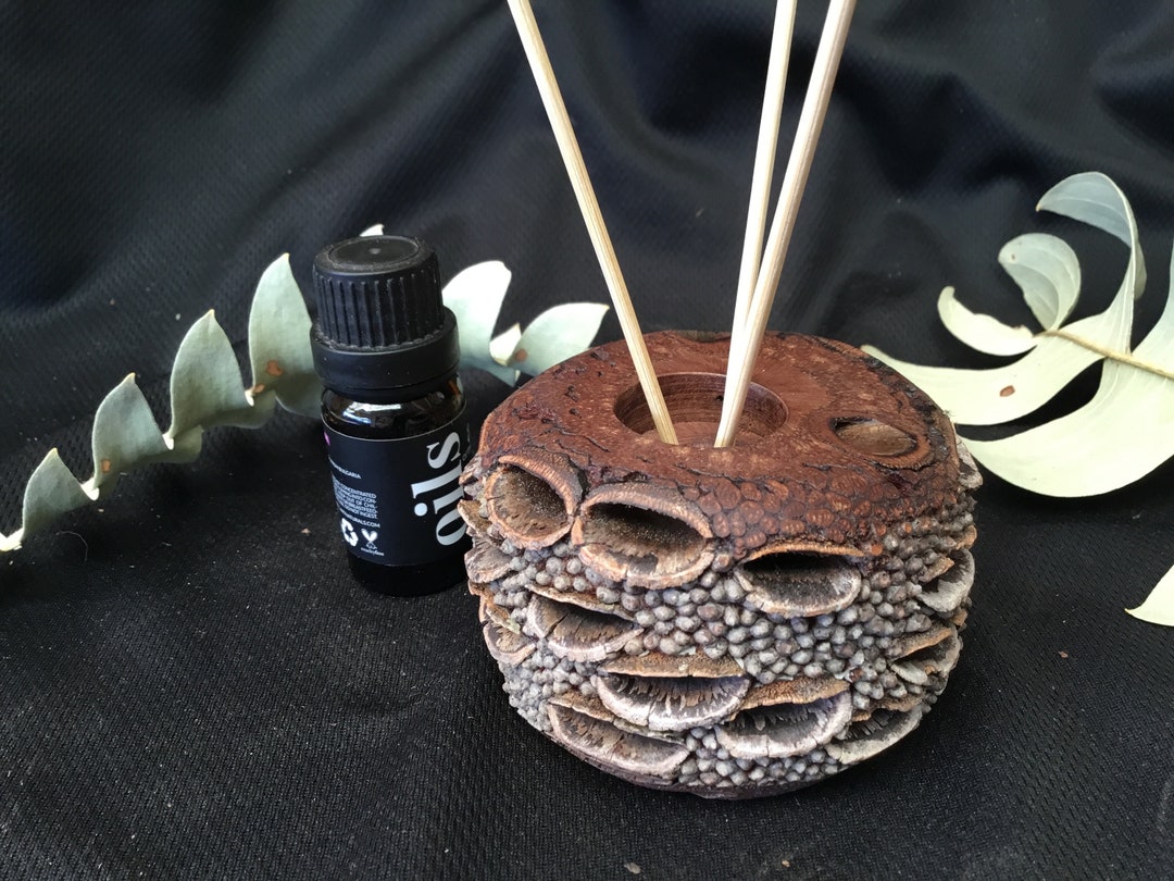Organic Banksia Pod..essential Oil Diffuser..aromatherapy..birthday ...