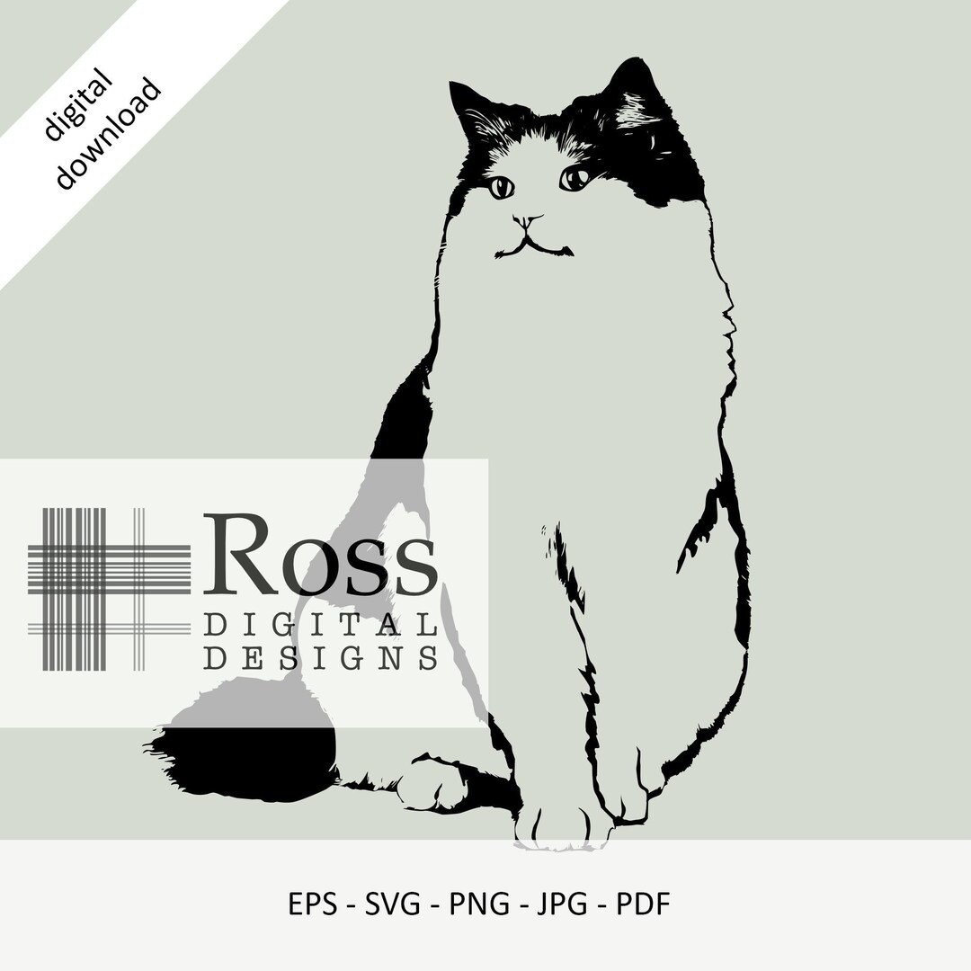 Ragdoll Cat Vector Art Illustration, Cat Breed Digital Download File ...