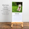 Somali Cat Calendar 2025: Monthly Wall Calendar With Notes, Hanging A4 ...