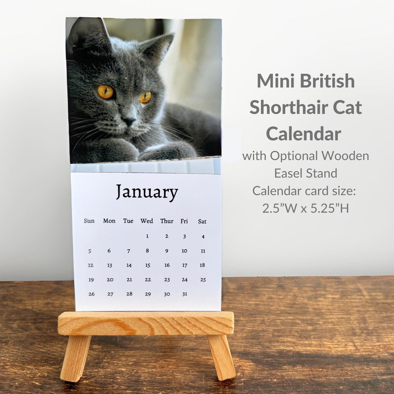 Cat Calendar - Etsy