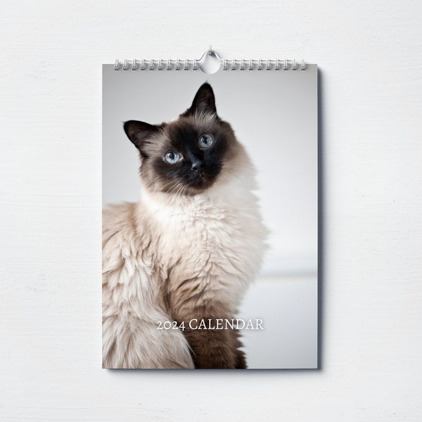 Cat Calendar - Etsy
