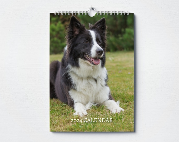 Border Collie Calendar 2024 | Monthly Wall Calendar, A4 Size | Hanging ...