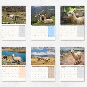 Alpacas Calendar 2025: Monthly Wall Calendar With Notes, Hanging A4 ...