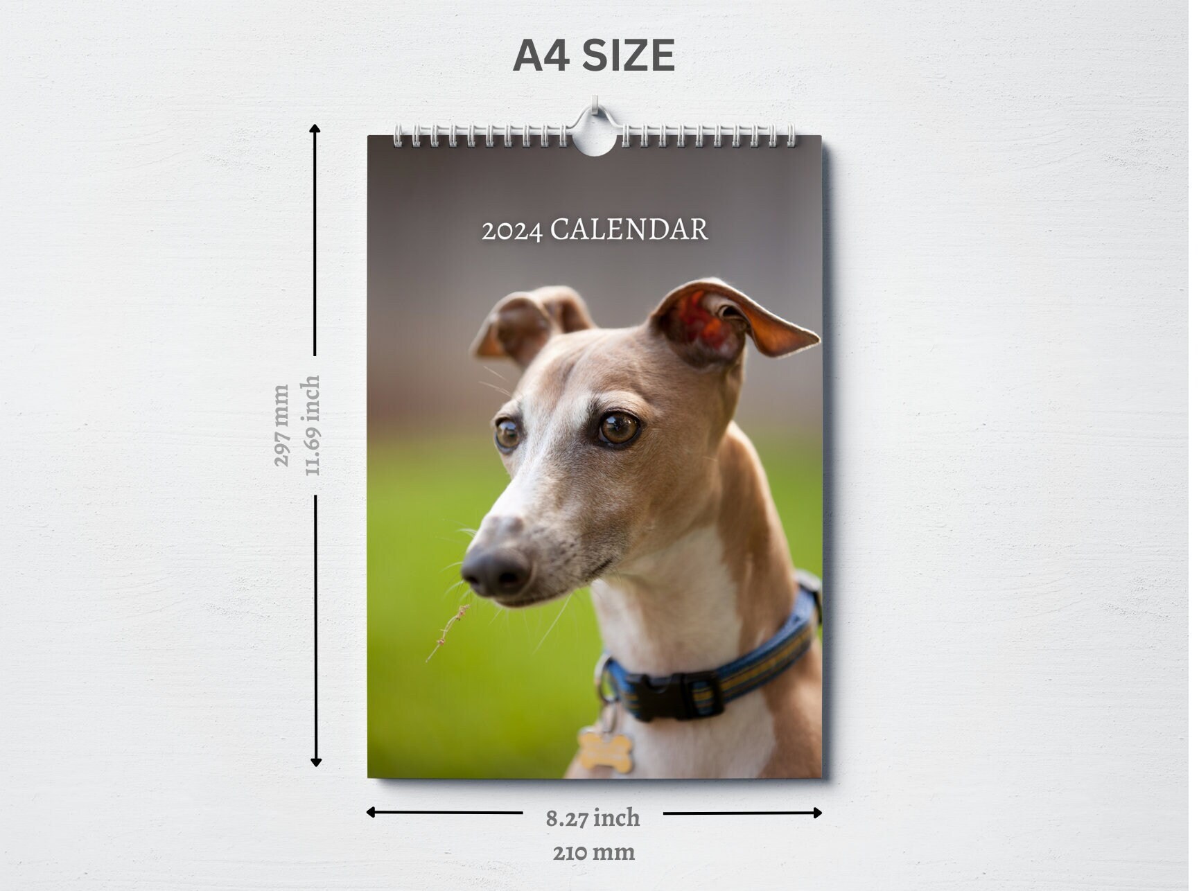 Italian Greyhound Calendar 2024 Monthly Wall Calendar, A4 Hanging ...