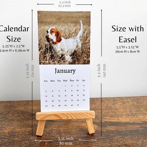 English Setter Calendar 2025: Mini Desk Calendar, Perfect Gift for ...