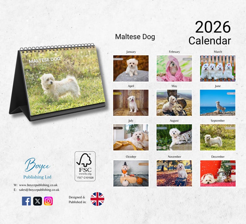 Maltese Dog Desk Calendar 2026-2027: Standing Flip Desktop Calendar ...