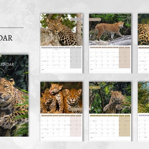 Leopard Calendar 2025: Monthly Wall Calendar With Notes, Hanging A4 ...