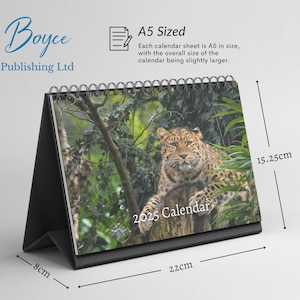Leopard Desk Calendar 2025-2026: Standing Flip Desktop Calendar With ...