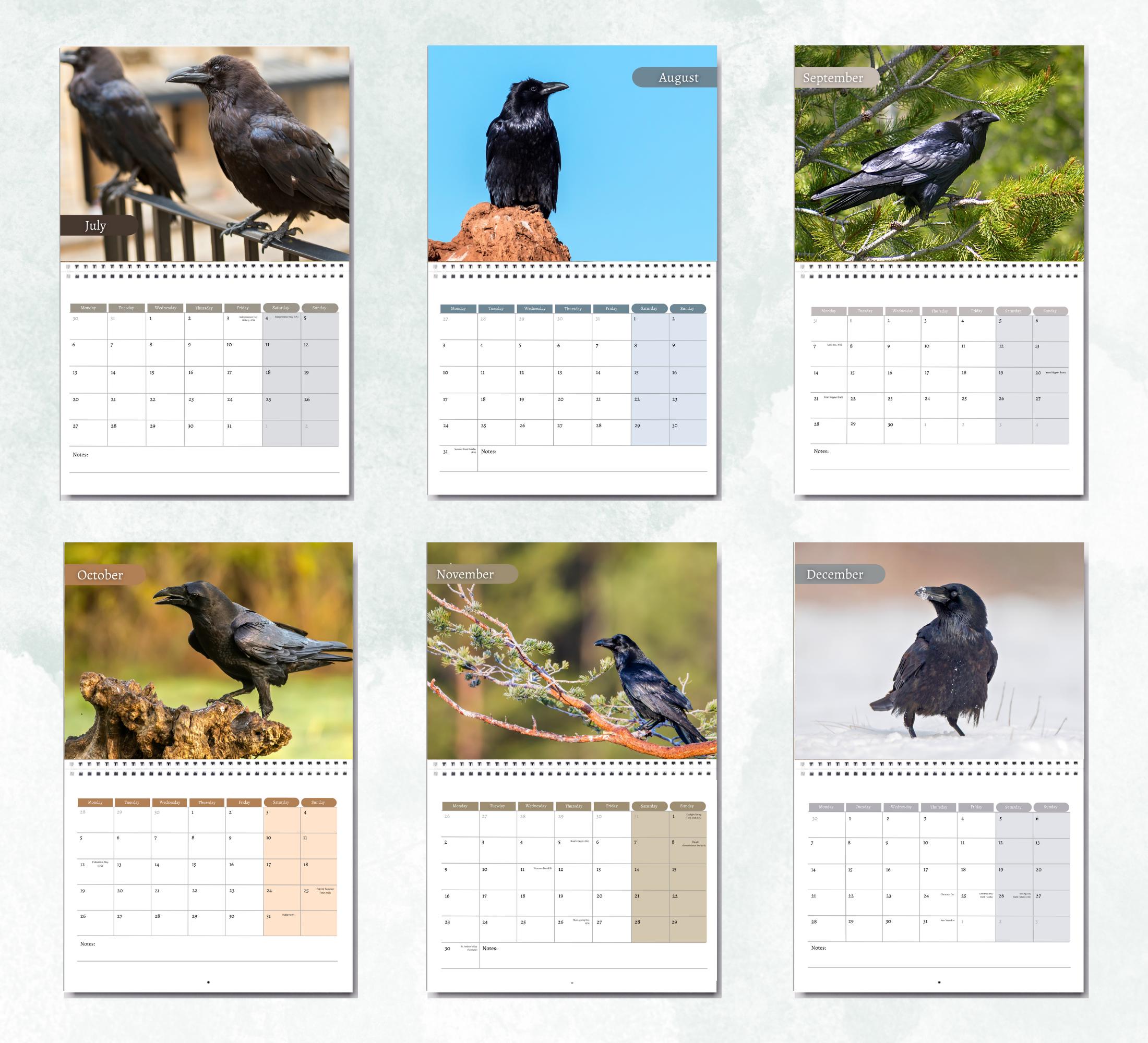 Raven Calendar 2026: Monthly Wall Calendar With Notes, Opens to A3 Size ...