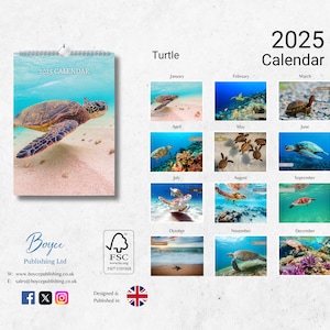 Turtle Calendar 2025: Monthly Wall Calendar With Notes, Hanging A4 Size ...