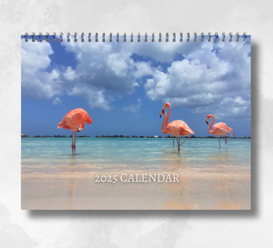 Flamingo Calendar 2025: Monthly Wall Calendar, A4 | Hanging Calendar ...