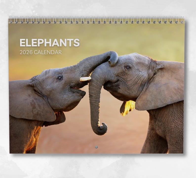 Elephant Calendar 2026: Monthly Wall Calendar With Notes, Opens to A3 ...