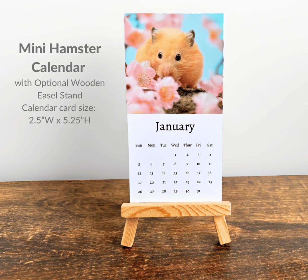 Hamster Calendar 2025: Mini Desk Calendar, Hamster Calendar 2025-2026 ...