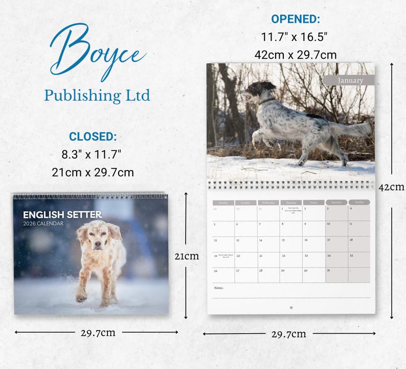 English Setter Calendar 2026: Monthly Wall Calendar With Notes, Opens ...