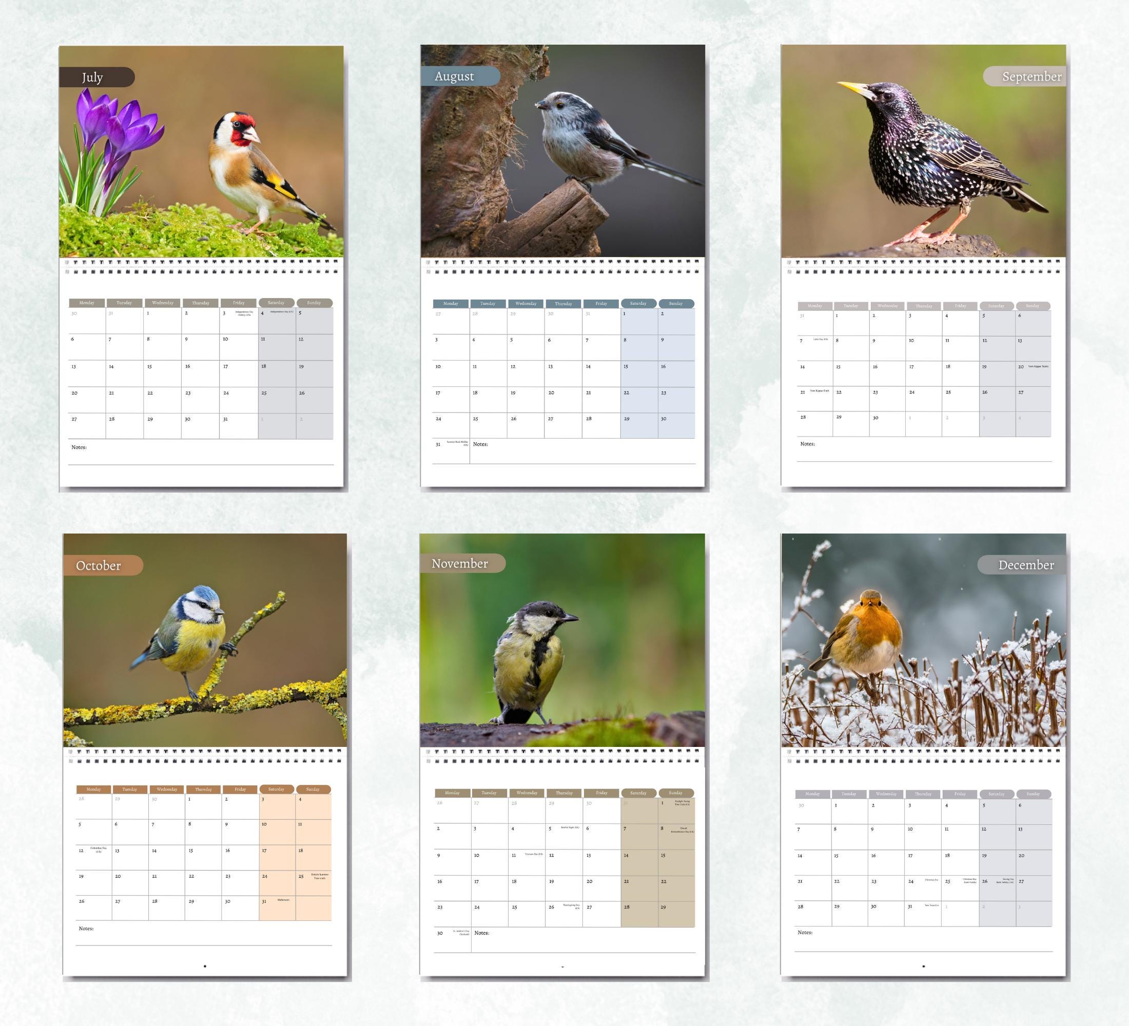 Garden Birds Calendar 2026: Monthly Wall Calendar With Notes, Opens to ...